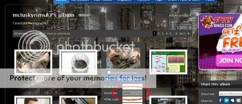 Posting Pictures using Photobucket - Updated Version | Reptile Forums