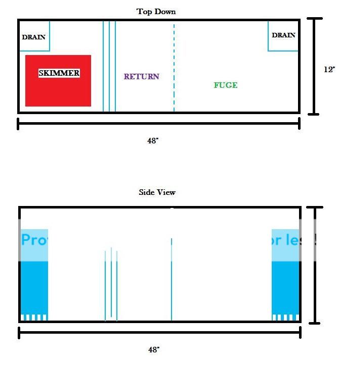DIY Sump/Fuge Ideas please. | Atlanta Reef Club